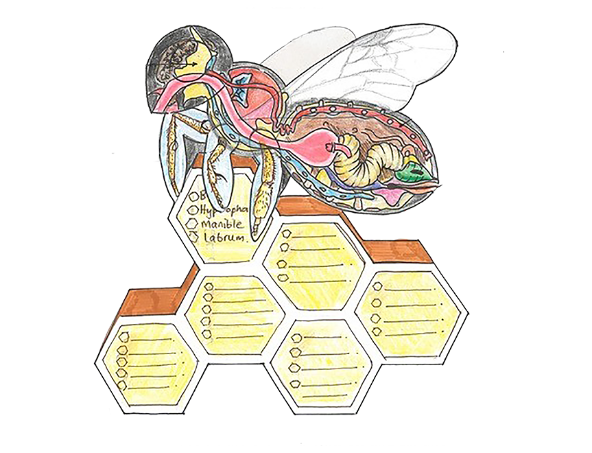 Bee Inside - Buzz In The City